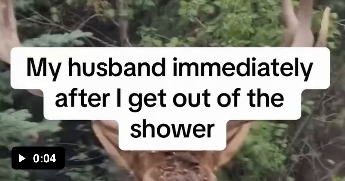 Ahh, the segs... - 9GAG