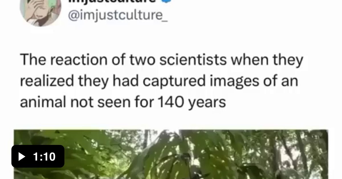 The reaction of two scientist when they realized they had captured images of an animal not seen ...