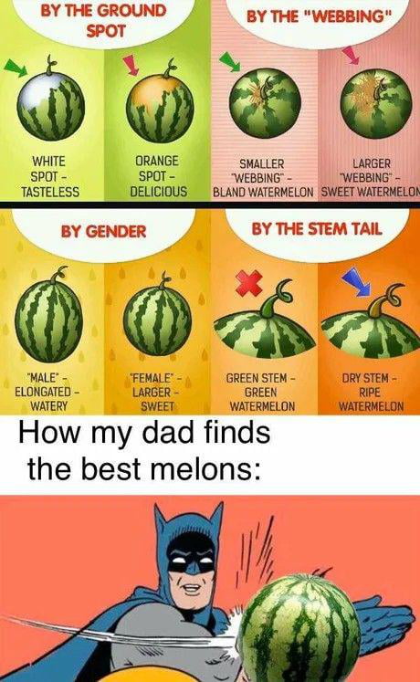 A cool guide for choosing the right watermelon - 9GAG
