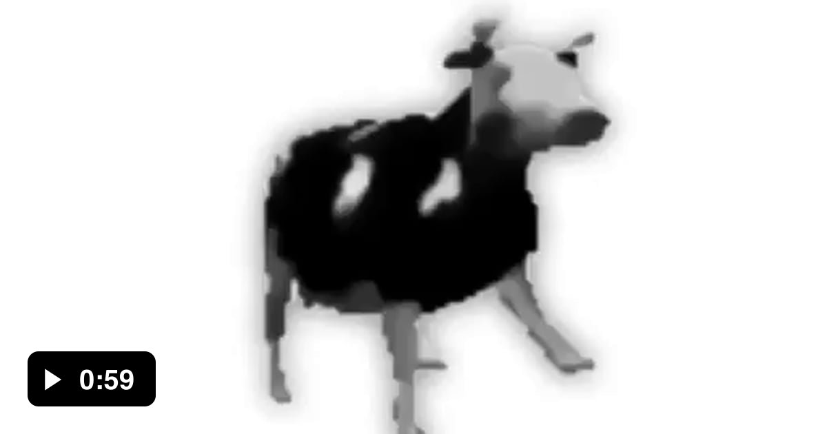 A random polish cow meme appears - 9GAG