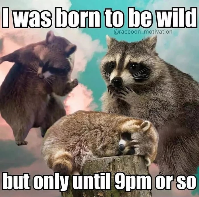 I'm a party animal! - 9GAG