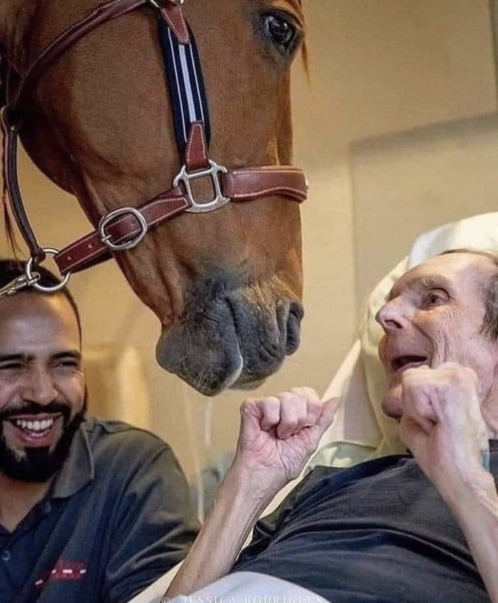 Sarah Jessica Parker visits ‘make a wish’-recipient - 9GAG