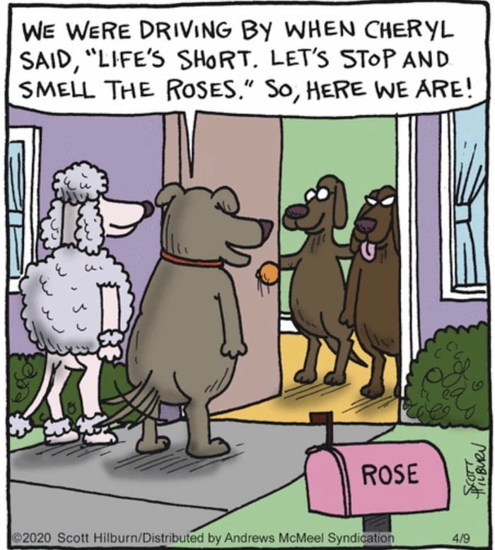 Sniff 9gag
