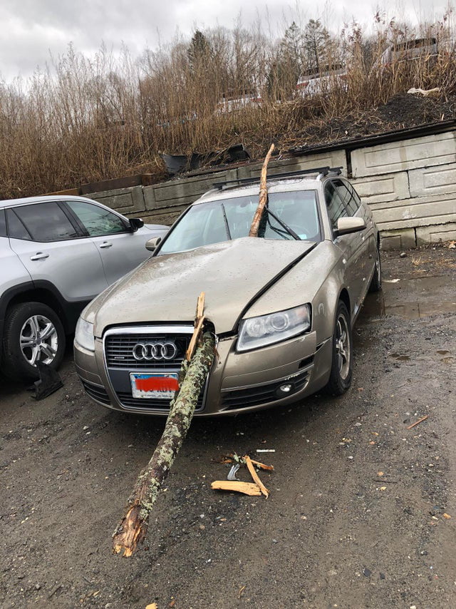 Tree branch attacks a car.....!!! - 9GAG