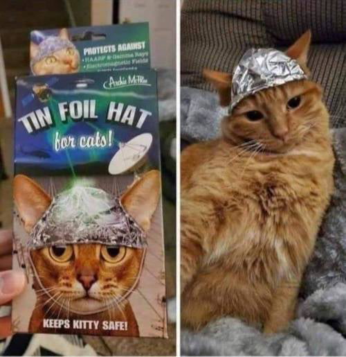 Tin foil cat - 9GAG