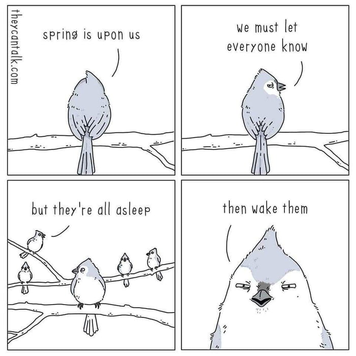 Springtime - 9GAG
