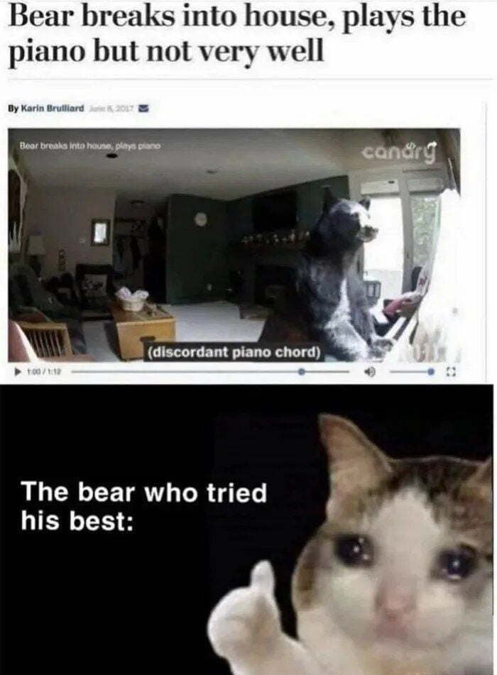 The tune: "The bear necessities" - 9GAG