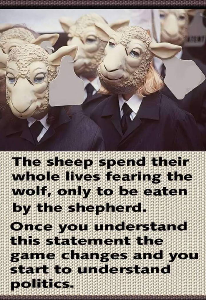 Wolf in sheep skin! - 9GAG