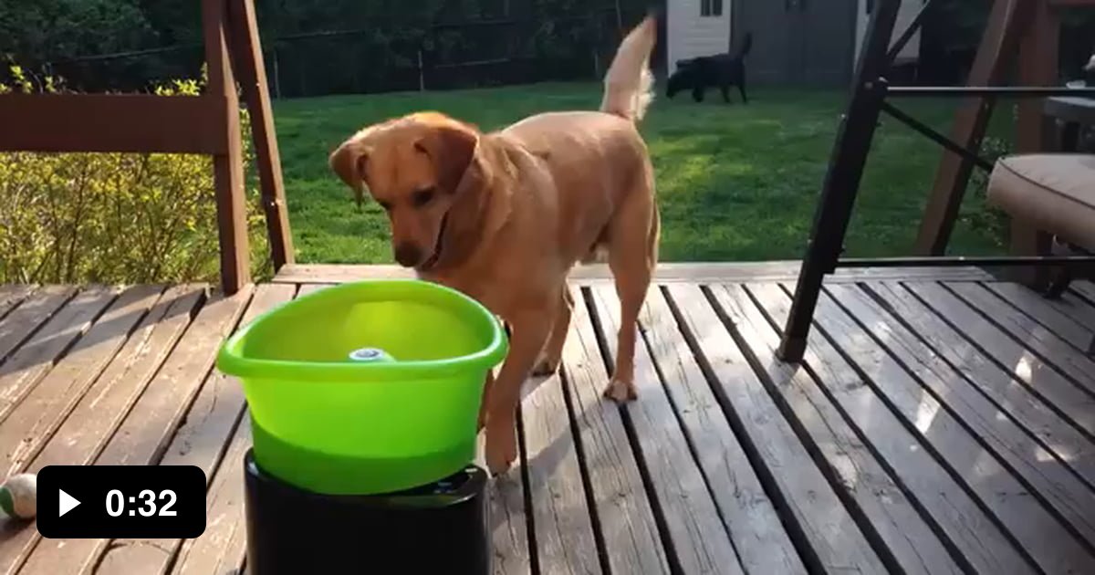Tippy taps - 9GAG