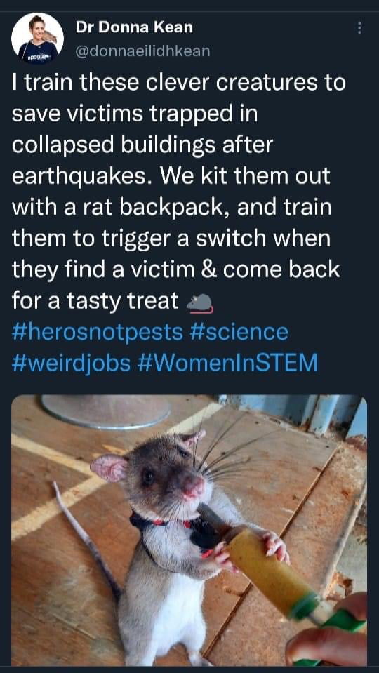 Pretty Smart! - 9GAG