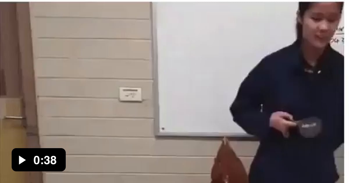 Chicken, learning from positive reinforcement - 9GAG