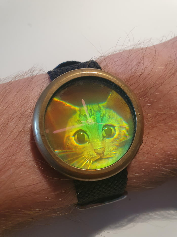 3D Holo cat watch, a beauty of its own - 9GAG