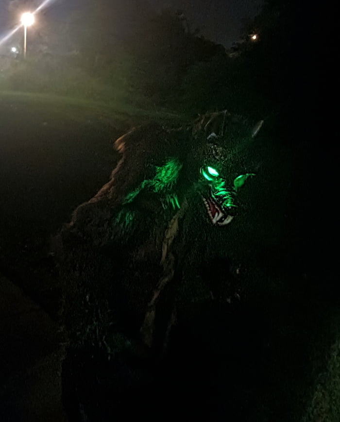 Werewolf cos ready for Howl-o-ween 2022 - 9GAG
