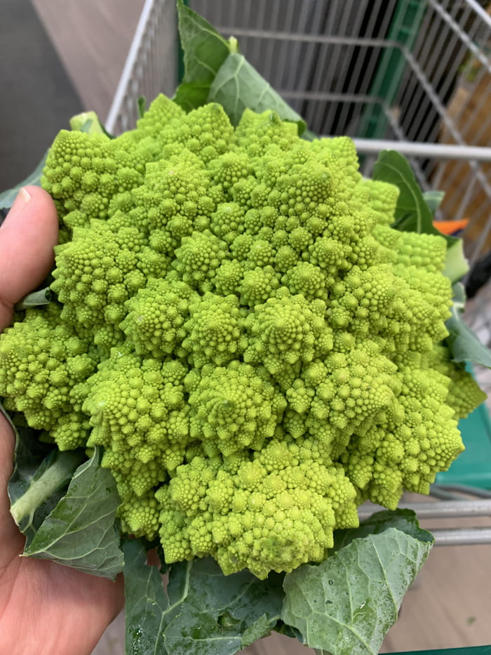 Fractal broccoli is insane - 9GAG