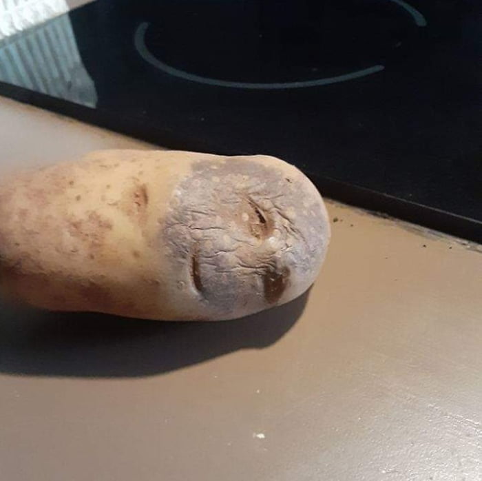 This potato. - 9GAG