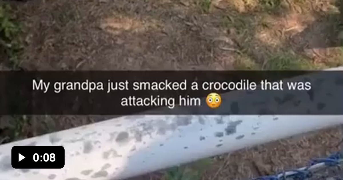 Frying pan vs Crocodile - 9GAG