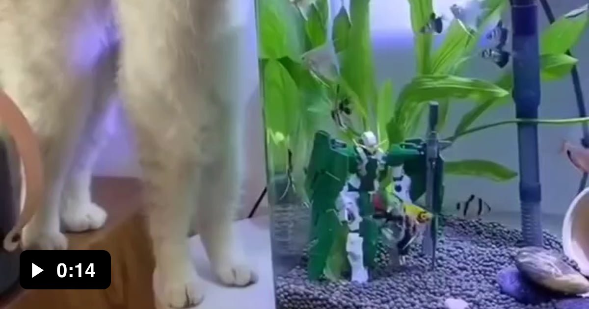 Mlem mlem mlem - 9GAG