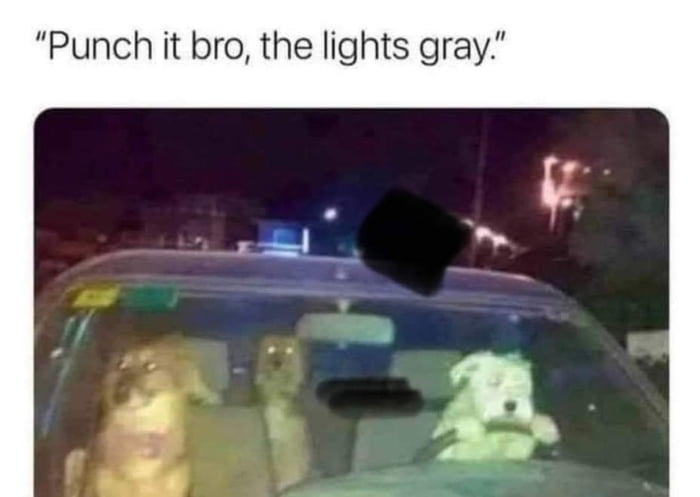 Some light humor... - 9GAG