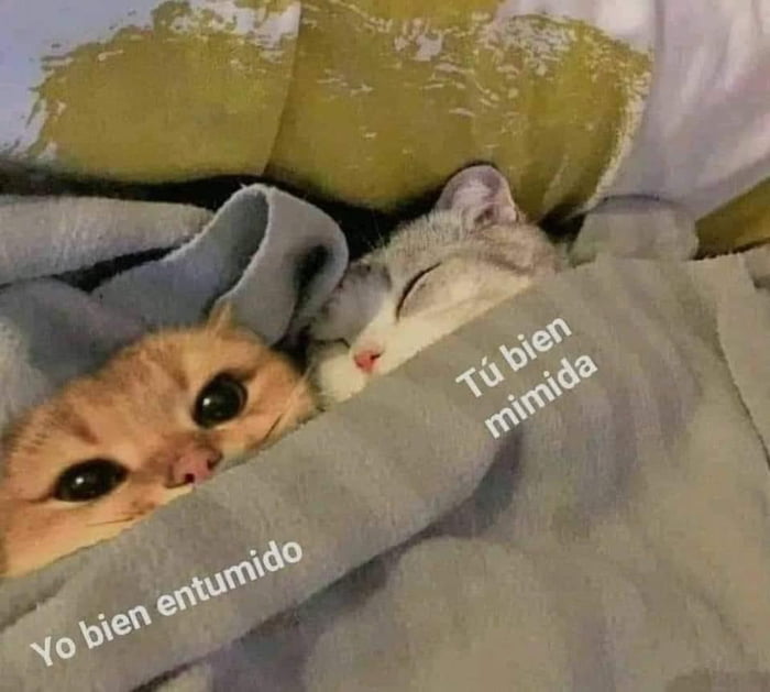 Yo bien entumido - 9GAG