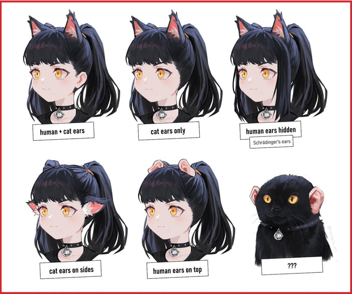 A chart to cat's ears - 9GAG