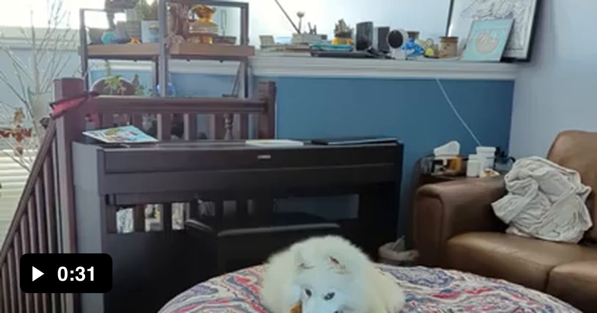 Teeny tiny tippy taps!! - 9GAG