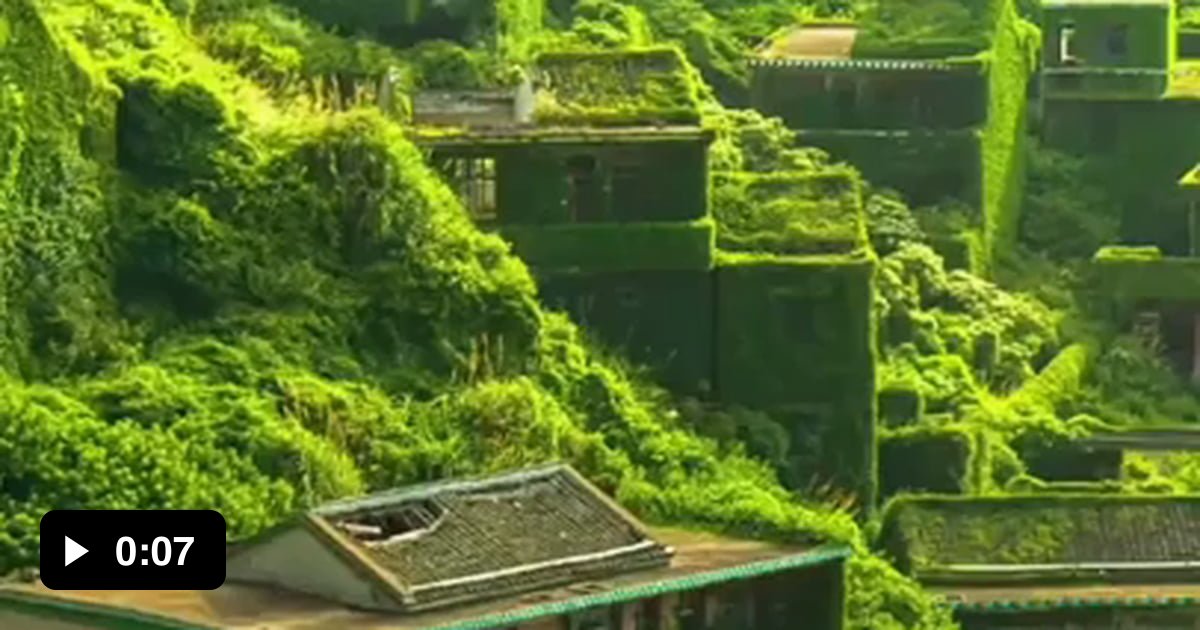This village was abandoned by humans over 30 years ago, now covered by ...