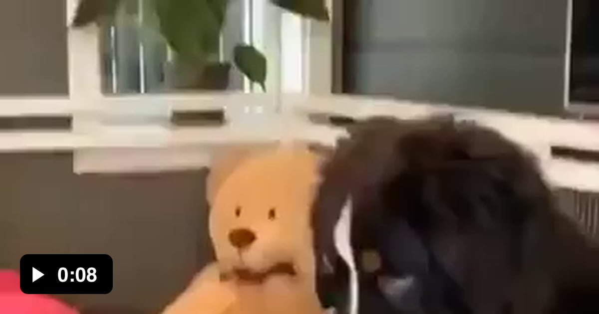 OMG really like human ️ - 9GAG