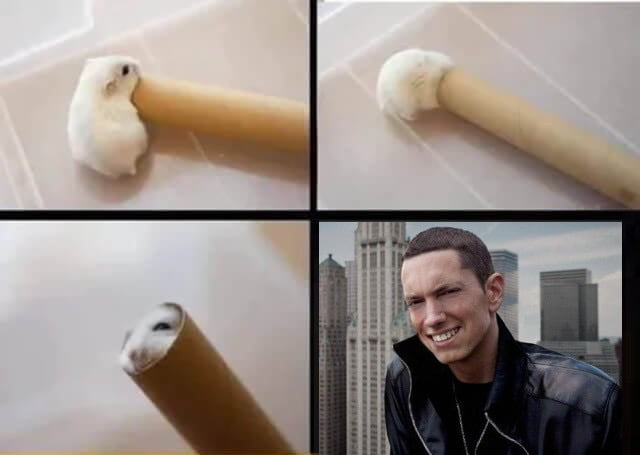 This meme has a very limited target audience - 9GAG