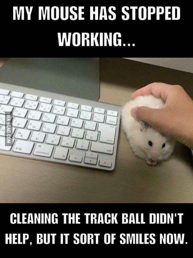 Gonna use my touchpad instead... - 9GAG