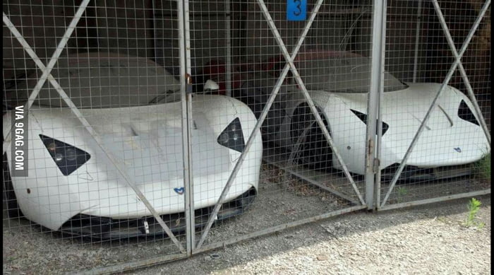 Beast Locked in a cage - 9GAG