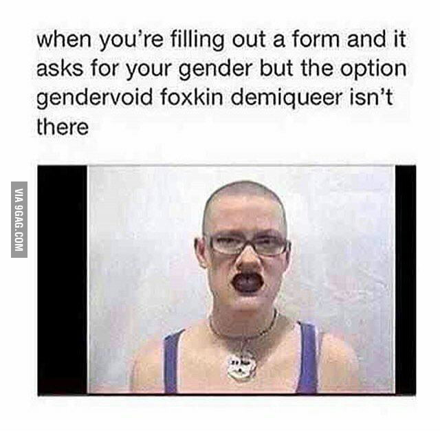 A gendervoid demiqueer in its natural habitat - 9GAG