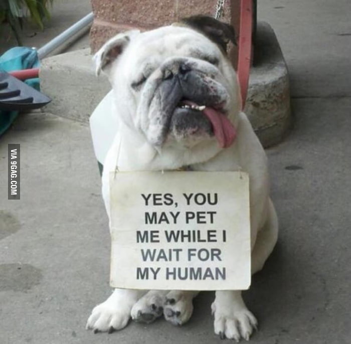 Then I shall proceed - 9GAG