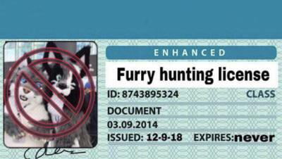 FIERY FURRY HUNTER, ALWAYS COMPLETES THE JOB - 9GAG