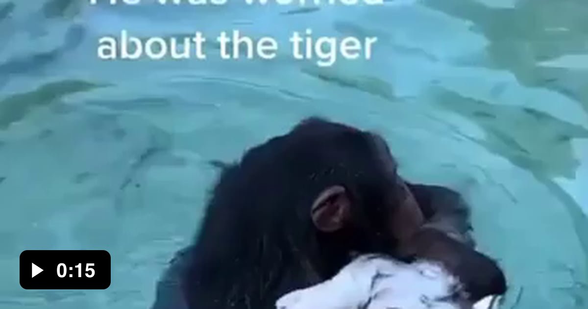 A Chimp Guiding A Baby Tiger To Safety, They Really Are Like Us Humans ...