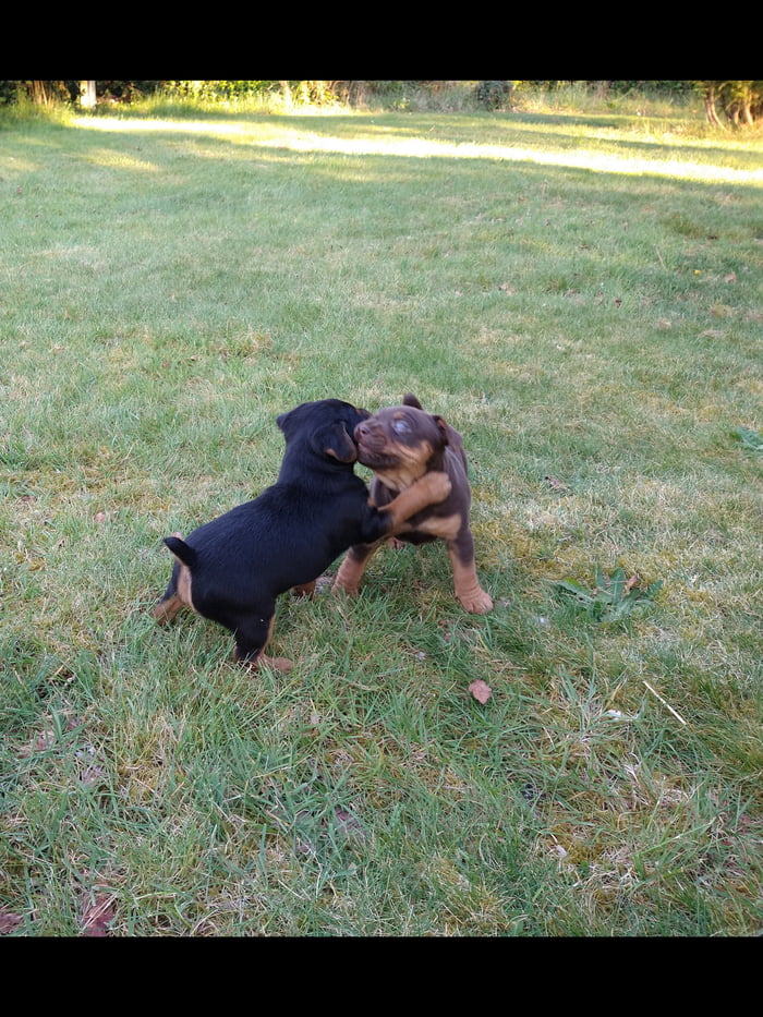 Give us a hug then bro . - 9GAG