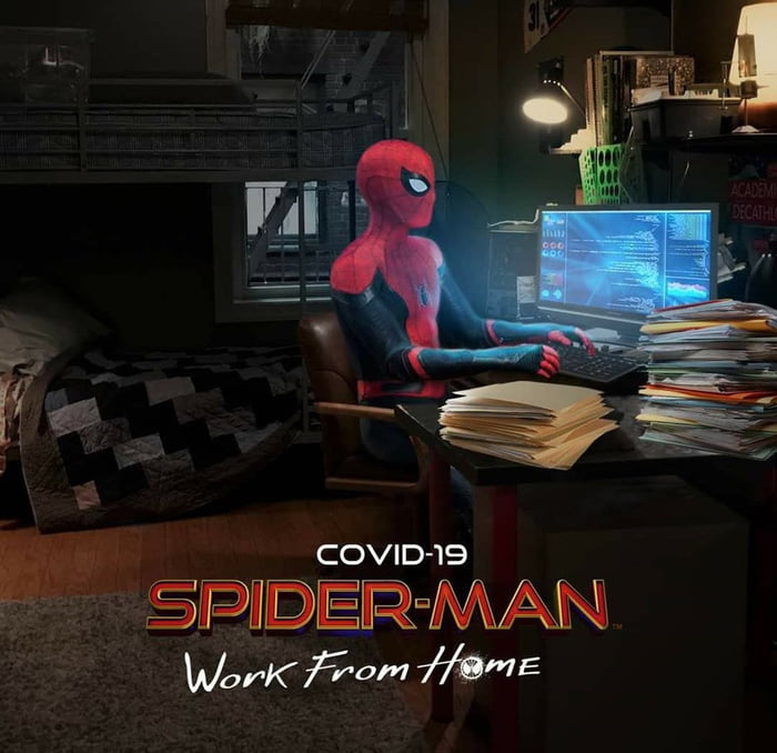 Lockdown - Spider-Man work from home!!! - 9GAG