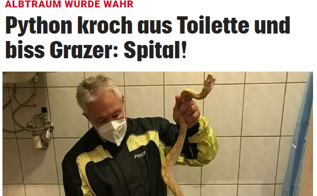 Austria, not Australia: snake bites man sitting on toilet - 9GAG
