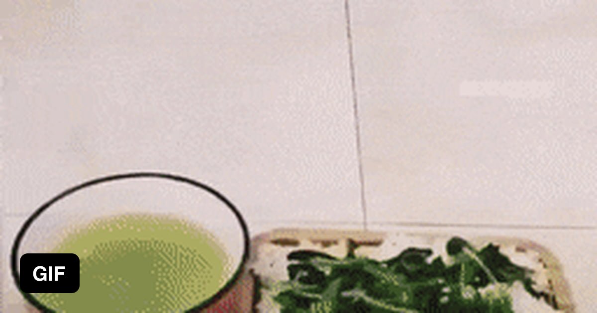 Insert cartoon run sfx!! - 9GAG