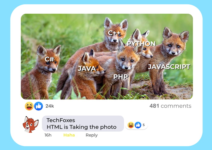 The basic way of the learning programming language will remain the same ...