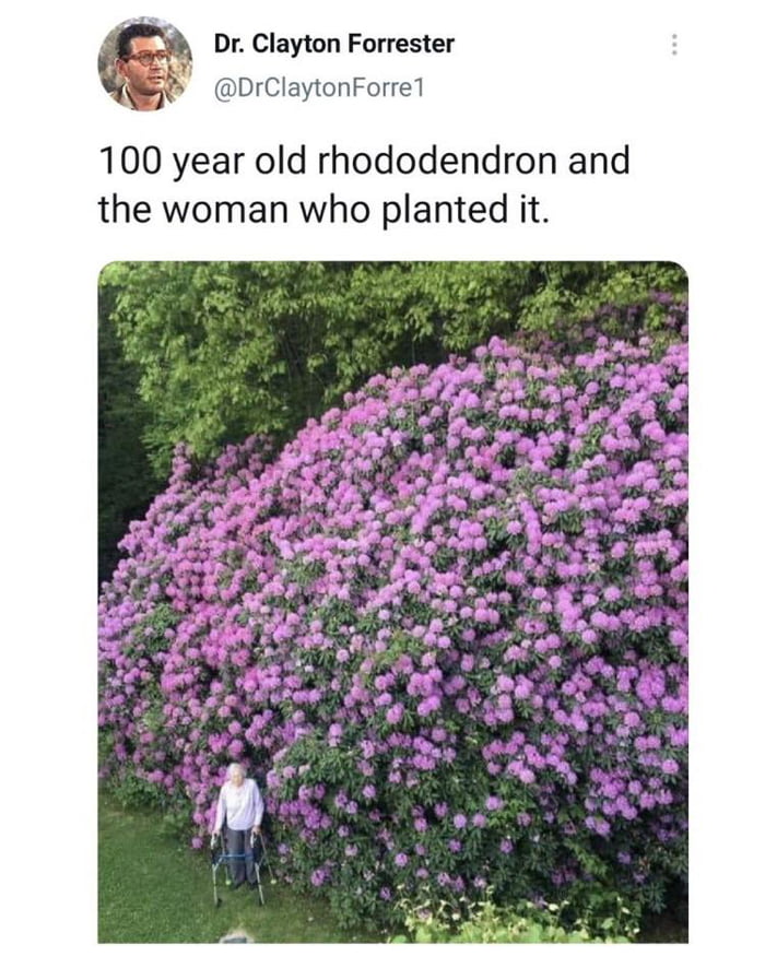 Now that’s dedication. - 9GAG