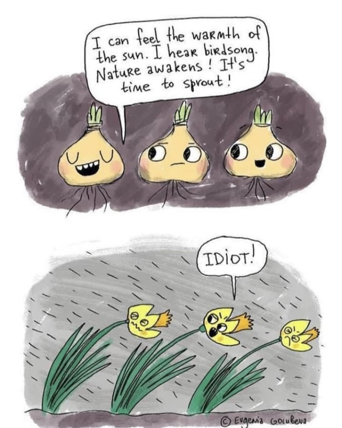 When yet another cold front rolls through - 9GAG