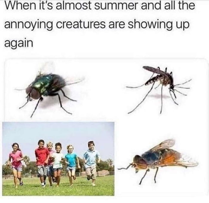 The summer annoying creatures - 9GAG