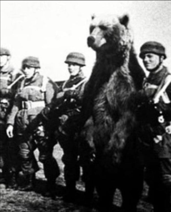 This is wojtek the bear. He was found by polish soldiers, who trained ...