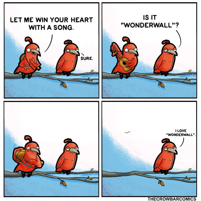 Songbird. - 9GAG