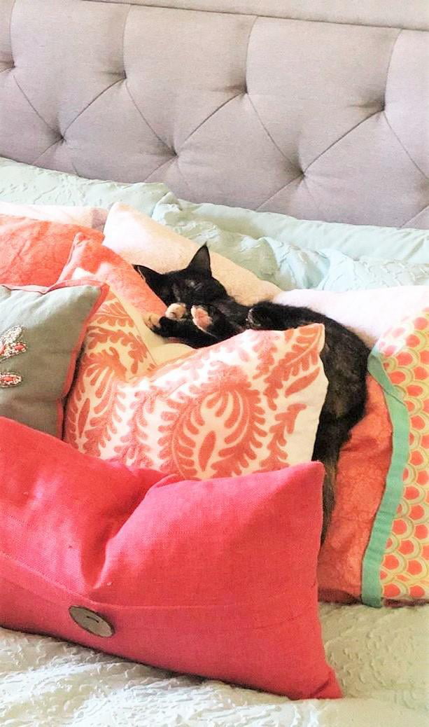 She looks pretty comfy. - 9GAG