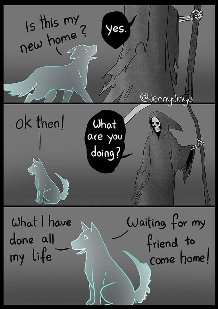 Right in my feels again. (╥‿╥) - 9GAG