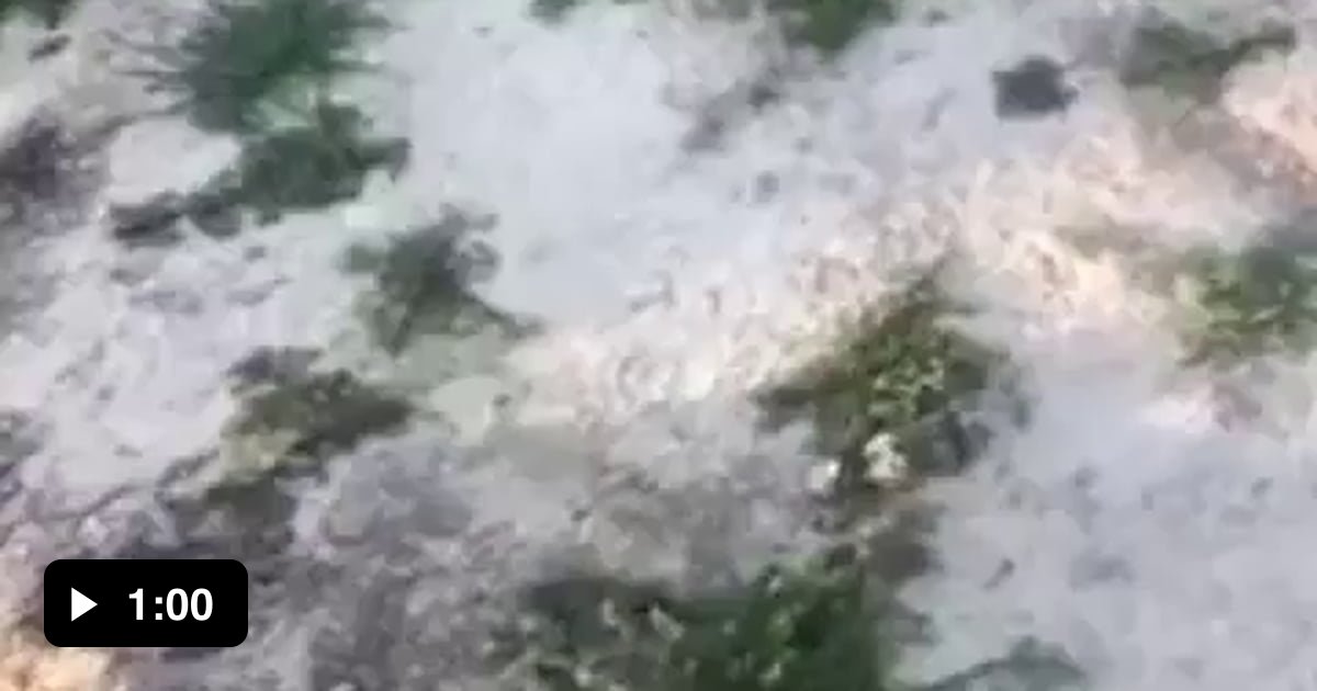 Saxophone echo play. This is Armin Kupper playing at a natural gas ...