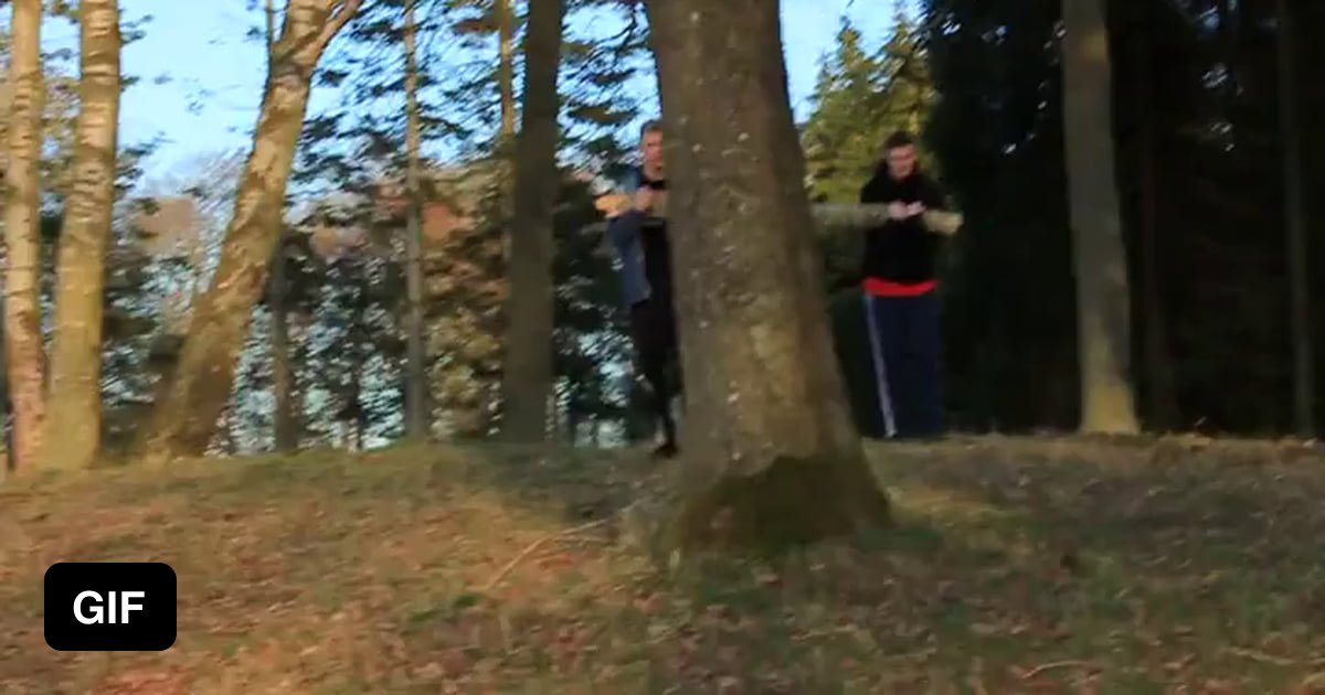 Let's run into this tree to break this branch... - 9GAG