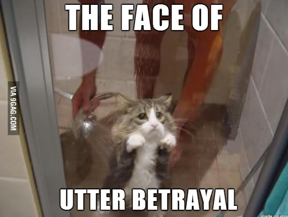 Please let me out - 9GAG