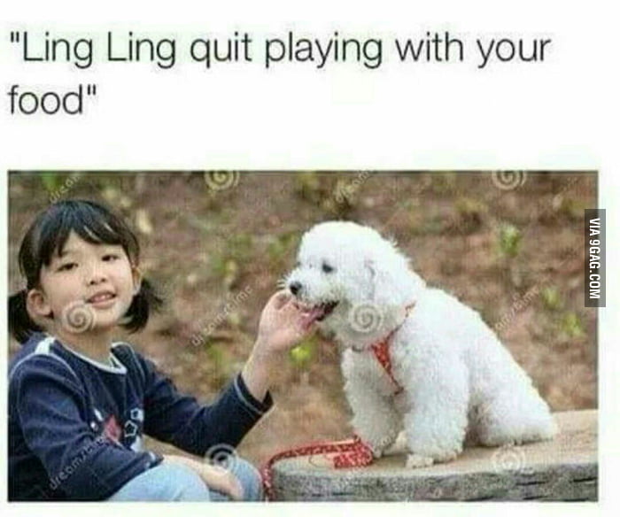 Damn Ling Ling - 9GAG